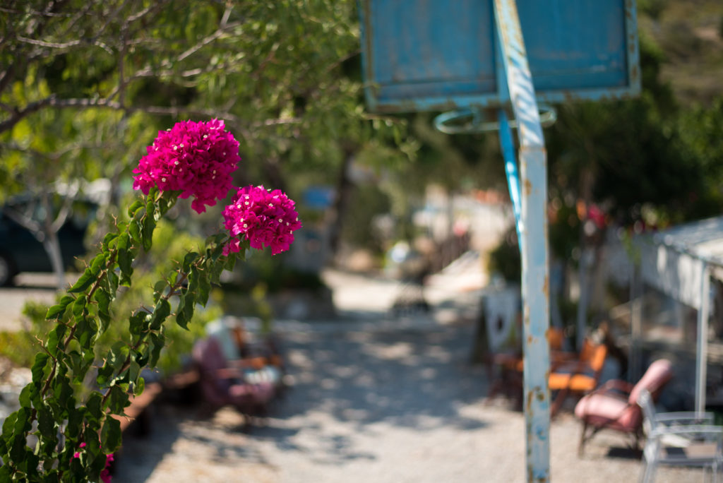 Pappa Beach - Experience a Hallelujah Beach Moment in Samos, Greece